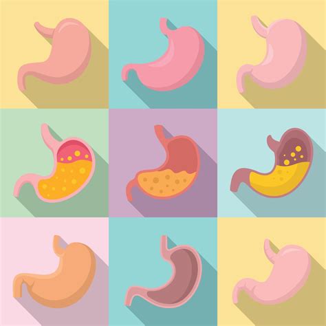 Stomach Icons Set Flat Style 8883225 Vector Art At Vecteezy