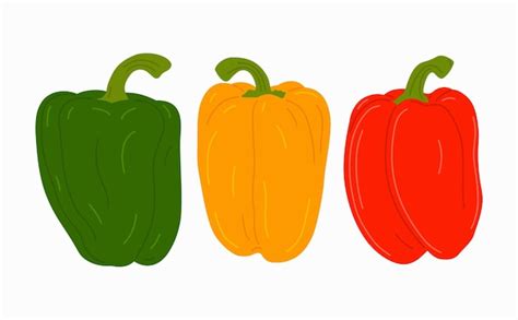 세 가지 색상 달콤한 피망 신선한 파프리카 야채 프리미엄 벡터