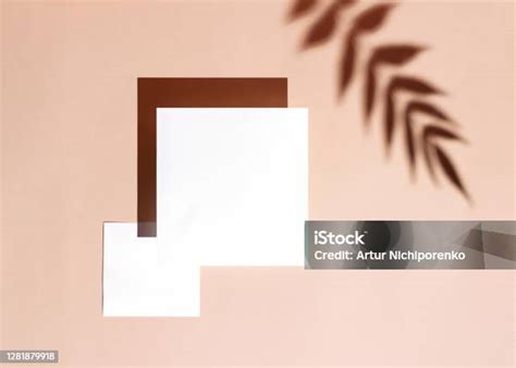 파스텔 베이지 색 배경에 두 평방 종이 카드와 세련된 여름 배경 열대 가지의 흐릿한 그림자와 일광에 창조적 인 최소한의 개념 0명에 대한 스톡 사진 및 기타 이미지 Istock