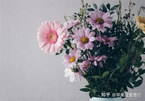 十年一梦期货人的心声交易者必读的经验典籍 知乎