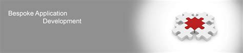 Bespoke Application Development In Noida Id