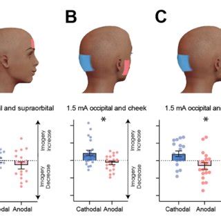 Visual Cortex Stimulation Data A Effect Of Visual Cortex Stimulation Download Scientific
