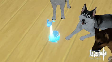 海獣の杓と犬 Genshin Impact HoYoLAB