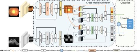 Crd Net Architecture For Multi Modal Retinal Image Classification