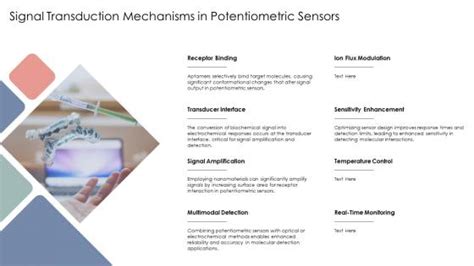 Signal Transduction Powerpoint Presentation And Slides Ppt Presentation