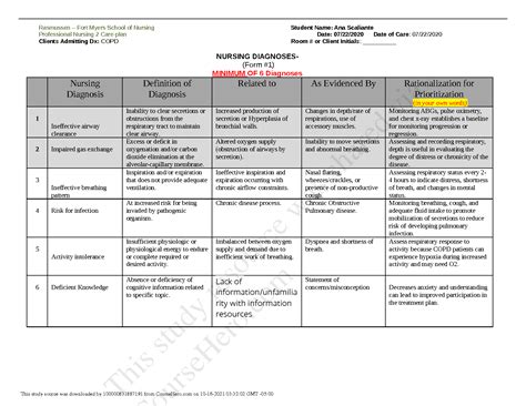 Copd Care Plan Template