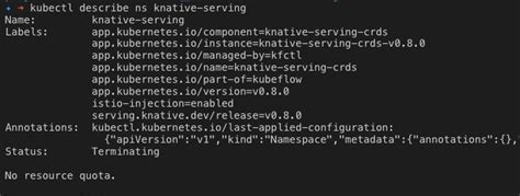 Kubeflow Namespace Get Stuck On Delete · Issue 4496 · Kubeflow