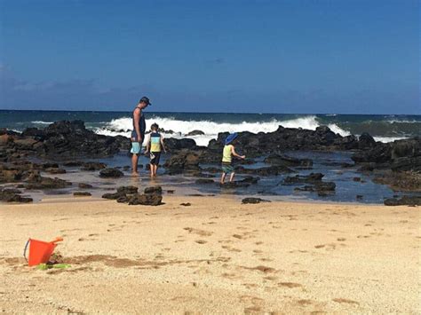 The Best Things To Do In Molokai Savoteur