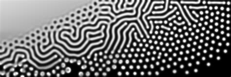 Reaction Diffusion
