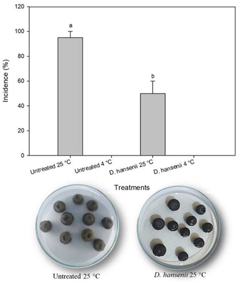 Mdpi Horticulturae On Linkedin Blueberry Academic Publishing Mdpi Horticulture Science