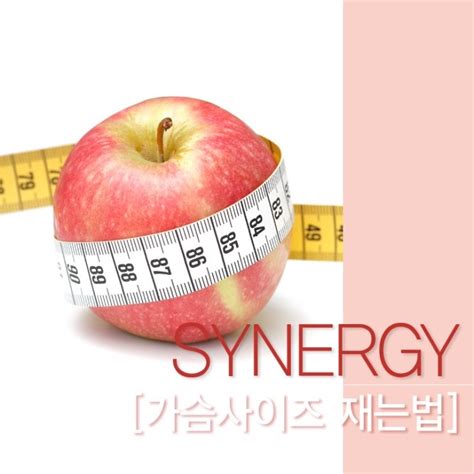 가슴사이즈 재는법 알아보기 네이버 블로그