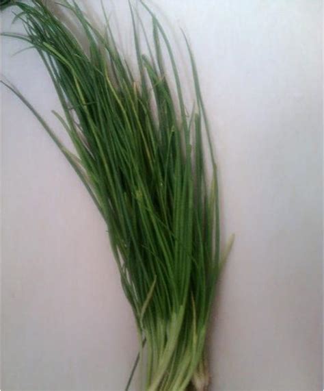 家常魚燉豆腐的做法 每日頭條