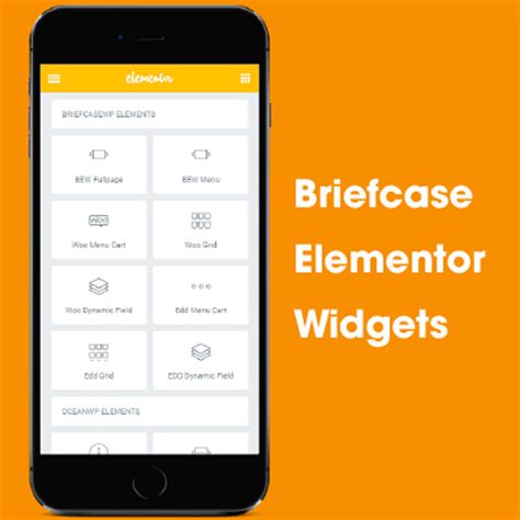 Download Briefcase Elementor Widgets Giá Rẻ