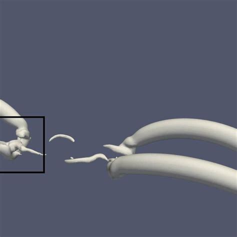 Simulation Of Vortex Reconnection Using Les In Openfoam In A Periodic Download Scientific
