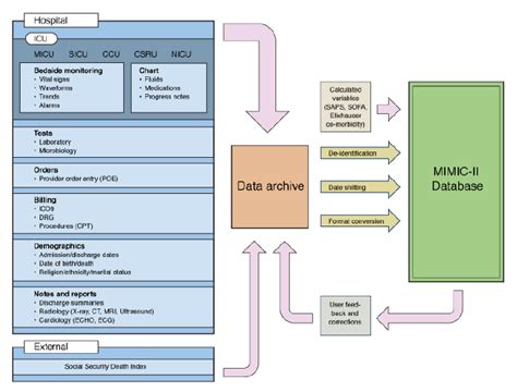 1 Schematic Of Data Collection And Database Construction Source Data