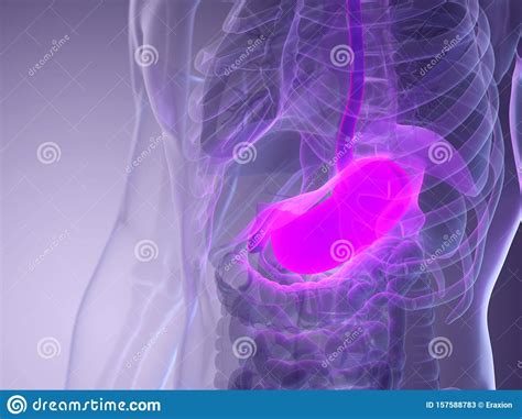 El est mago stock de ilustración Ilustración de exacto 157588783