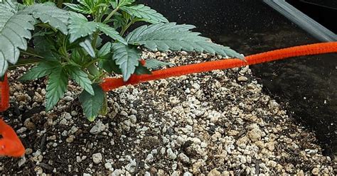 Lst Example Album On Imgur