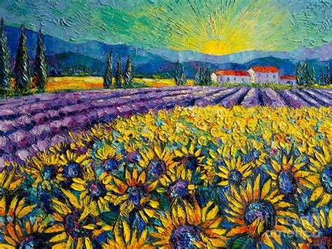 Sunflower By Evan Mcdermod Deeper Meaning