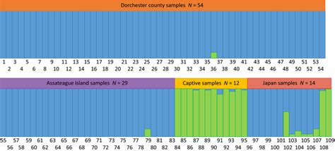 analysis of bayesian clustering identified two cluster groups blue and