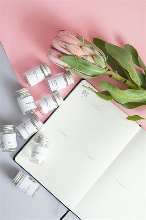 구성 깨끗한 꽃 나뭇잎 노트 녹색 다육 달력 디자인 라이프스타일 문구 미니멀리스트 바탕화면 배열 분홍색 사무용품 생산성 스타일리시한 시크한