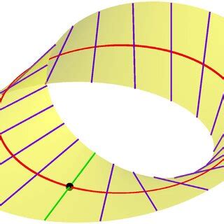 M Obius Band With Central Circle As The Base Space And Segments As