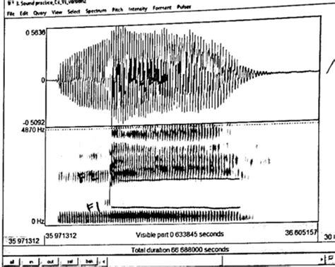 Speech Sci Exam 2 Specotgram Consonants And Vowels Flashcards Quizlet