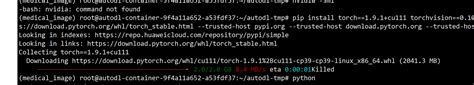 Camelyon Clam Autodl Camelyon