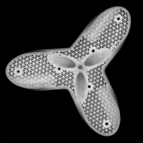 Biomimicry Adaptive Dome Grid Shell Structure Laufsed Llc