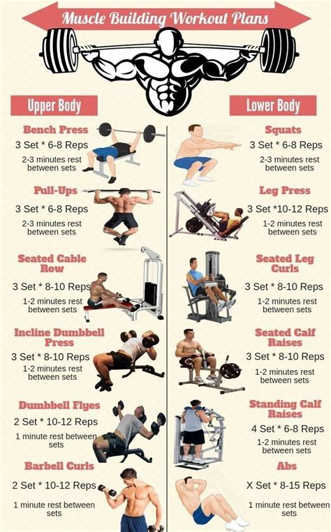 Full Body Gym Workouts Chart Gym Workouts Tips Fullbodyworkout Gymworkoutc Workout