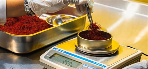 خواص دارویی زعفران و مضرات زعفران تقلبی برای بدن ایسنا