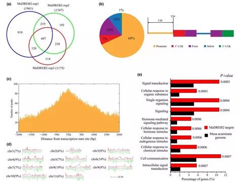 基因表达模式分析图 基因表达模式图 基因连 第3页 大山谷图库