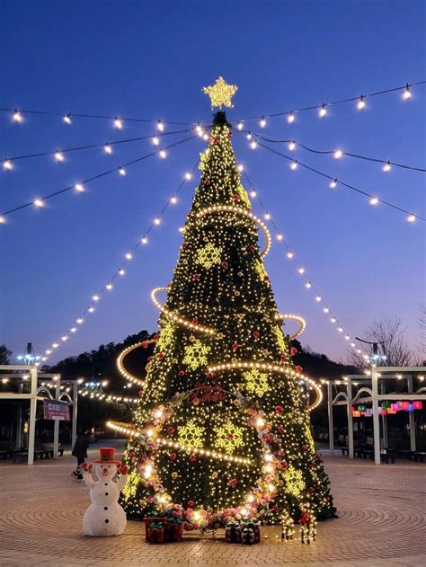 무안소식 연말연시 남악 중앙공원에 8m 대형 트리 설치 등 파이낸셜뉴스