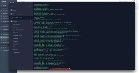 Configure Slave Dns Manager Extension On Plesk