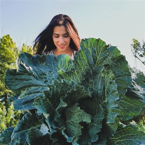 Ana Sofia Nobre Ana Sofia Nobre Nutricionista 2958n