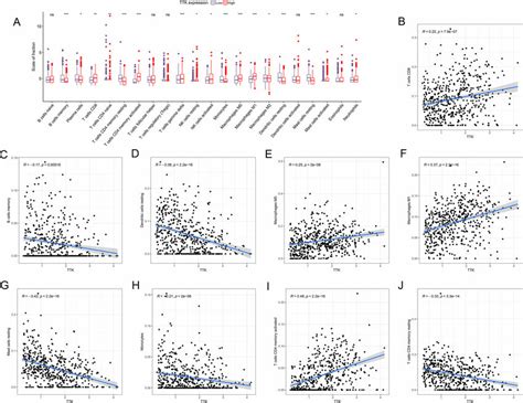 A The Degree Of 22 Tumor Immune Infiltrating Cells In Patients With Download Scientific