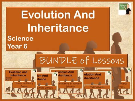Science Evolution And Inheritance Year 6 Bundle Teaching Resources