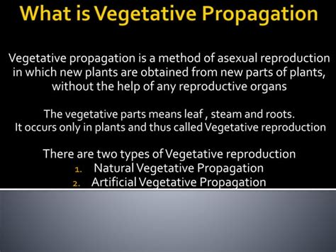 Vegetative Propagation Artificial And Natural Pptx