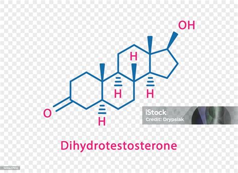 디하이드로테스토스테론 화학식 투명한 배경에 고립 된 디하이드로 테스토스테론 구조 화학 공식 2차 도형에 대한 스톡 벡터 아트 및 기타 이미지 Istock