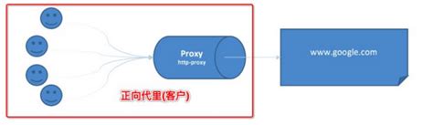 docker部署nginx反向代理多个web应用 barwe 博客园