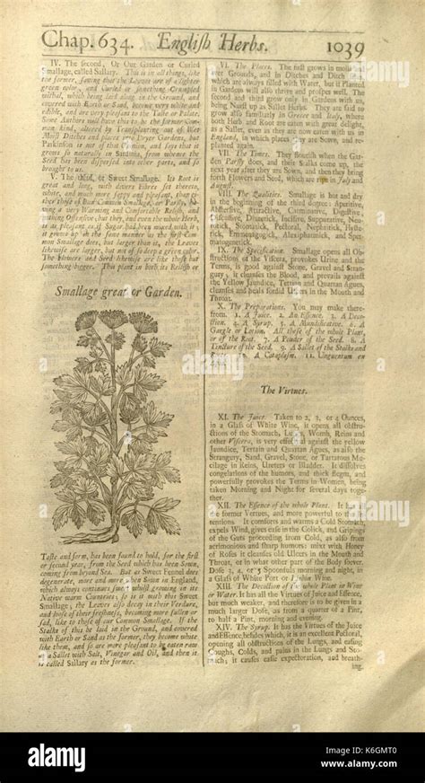A Botanical Work Detailing The History And Classification Of Plants From The English Herbal