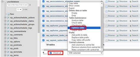 Database Cleanup And Optimisation A Quick Guide For Wordpress Users