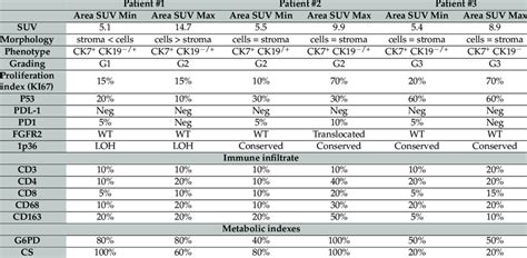Summary Of The Pathology Results Download Scientific Diagram