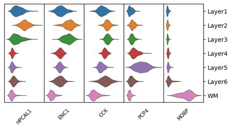 Dlpfc Dataset 151674 — Deepgft V0 0 1 Documentation