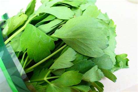 봄나물 방풍나물된장무침