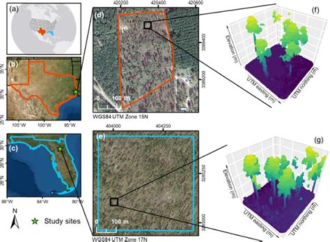 Figure 1 From Individual Tree Detection Using Uav Lidar And Uav Sfm Data A Tutorial For
