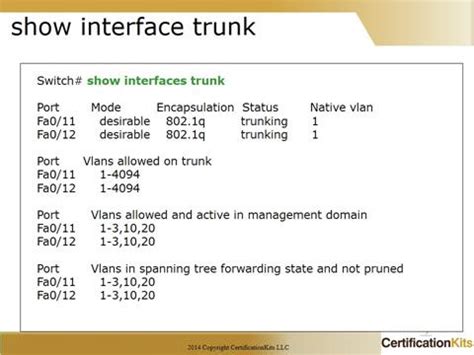 Cisco CCNA Troubleshooting VLANs And Trunks