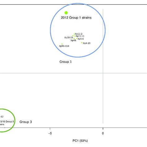 Principal Component Analysis Showing Three Distinct Clusters Of X