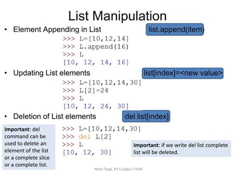 Python List Manipulation Basics In Detailpdf