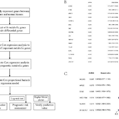 A Flow Chart Of The Prognostic Models Construction And Its