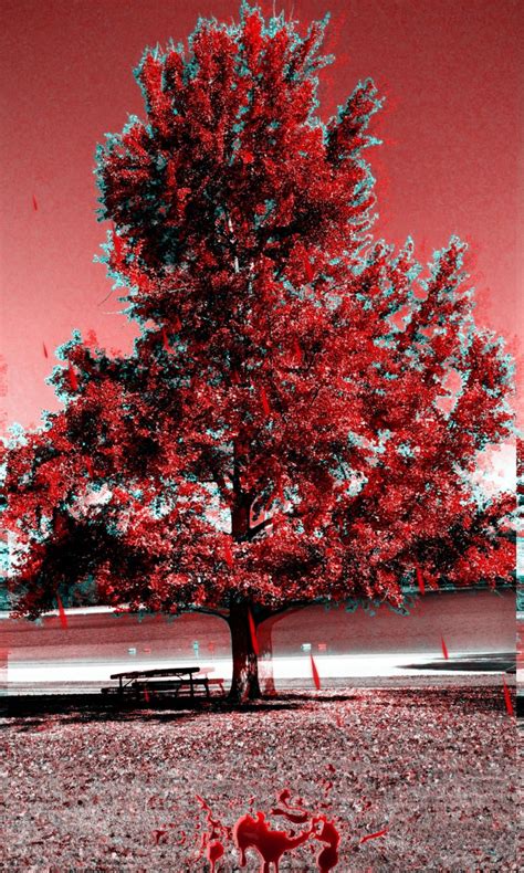 Blood Tree Blood Sunrise Tree